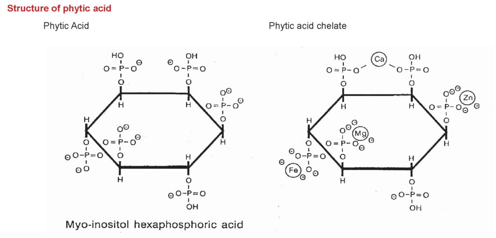 ROLE OF PHYTIC ACID AND PHYTASE IN POULTRY NUTRITION