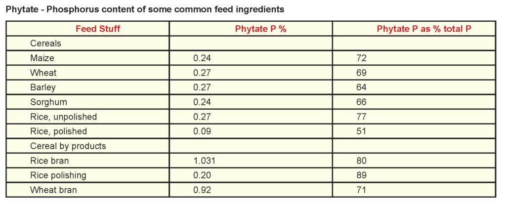 ROLE OF PHYTIC ACID AND PHYTASE IN POULTRY NUTRITION