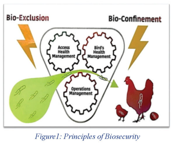 POULTRY MANAGEMENT AND BIOSECURITY MEASURES