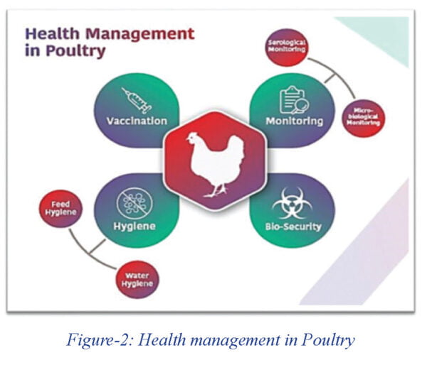 POULTRY MANAGEMENT AND BIOSECURITY MEASURES