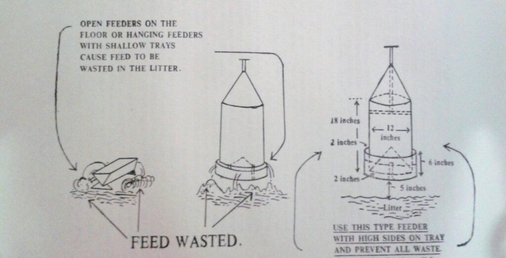 BASIC APPROACHES FOR FEEDING AND WATERING POULTRY