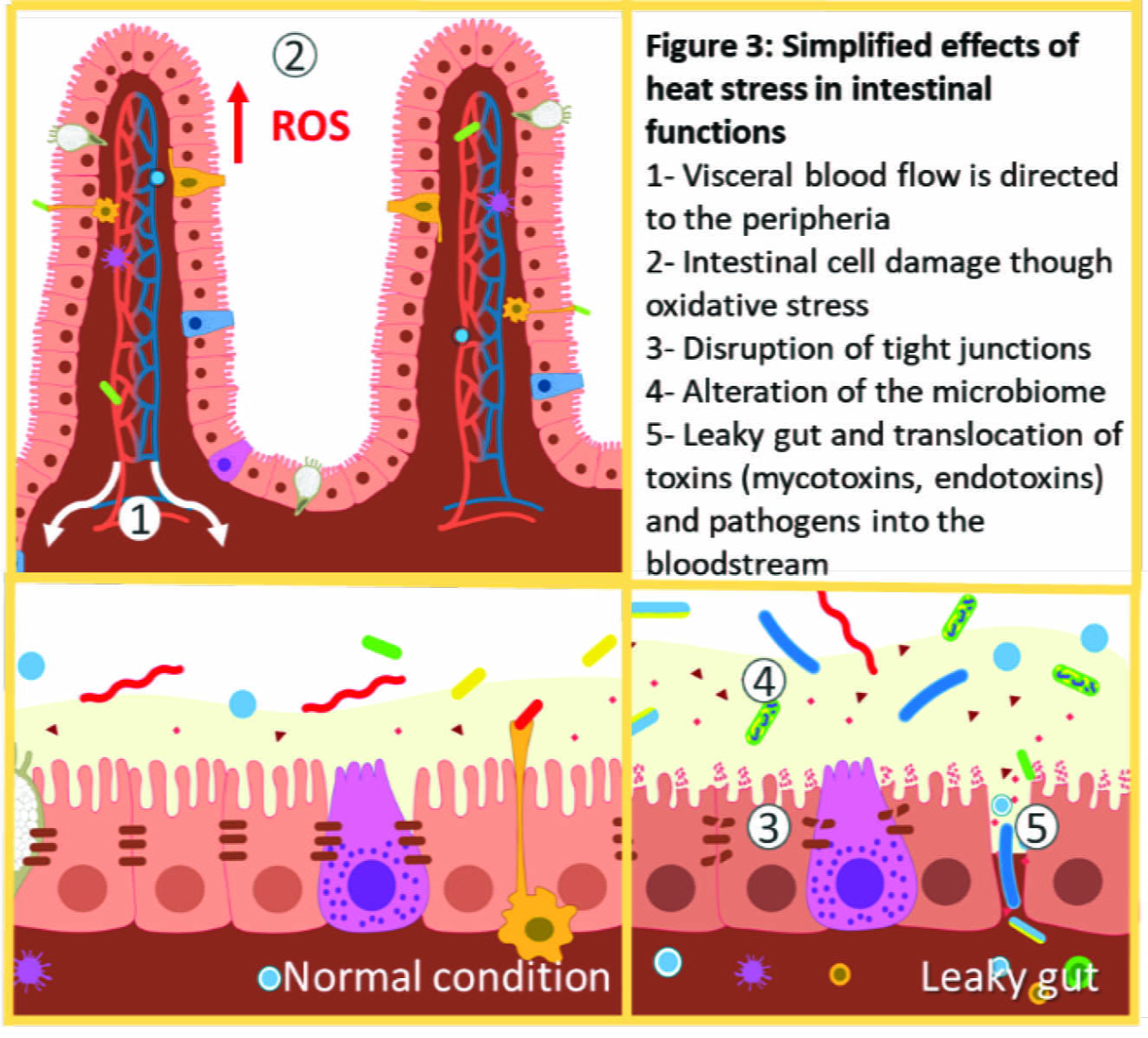 HEAT STRESS IN POULTRY