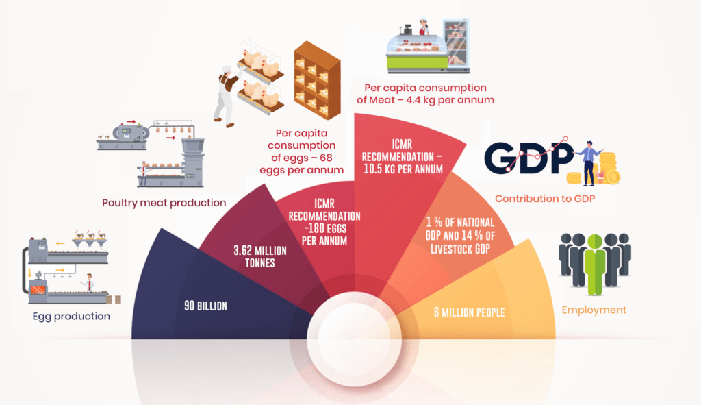 What Does The Future Hold For The Poultry Sector ? - ENGLISH MONTHLY ...