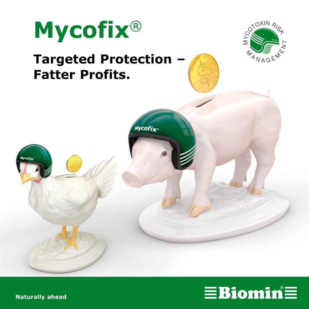 BIOMIN Expands Product Range for Broilers and Fatteners with Mycofix ...
