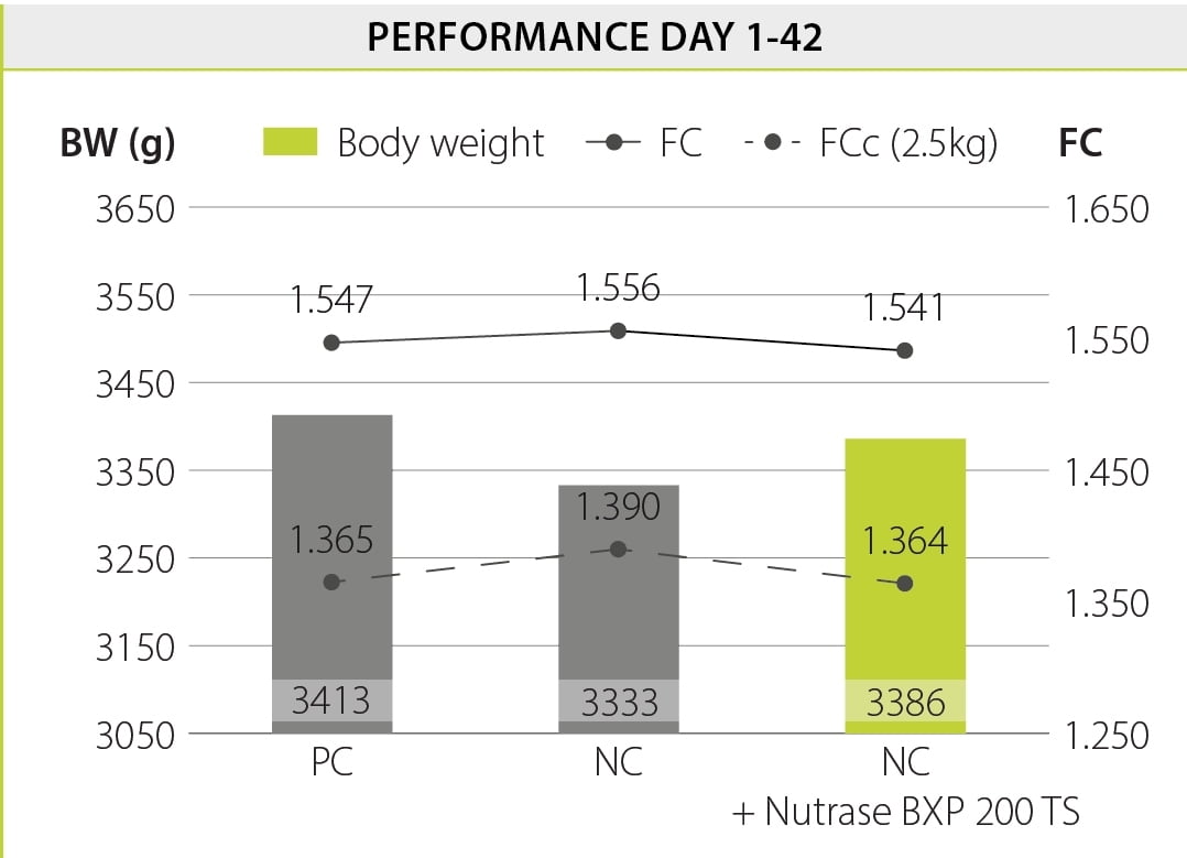 Saving feed cost by reformulating broiler diets with the use of Nutrase ...